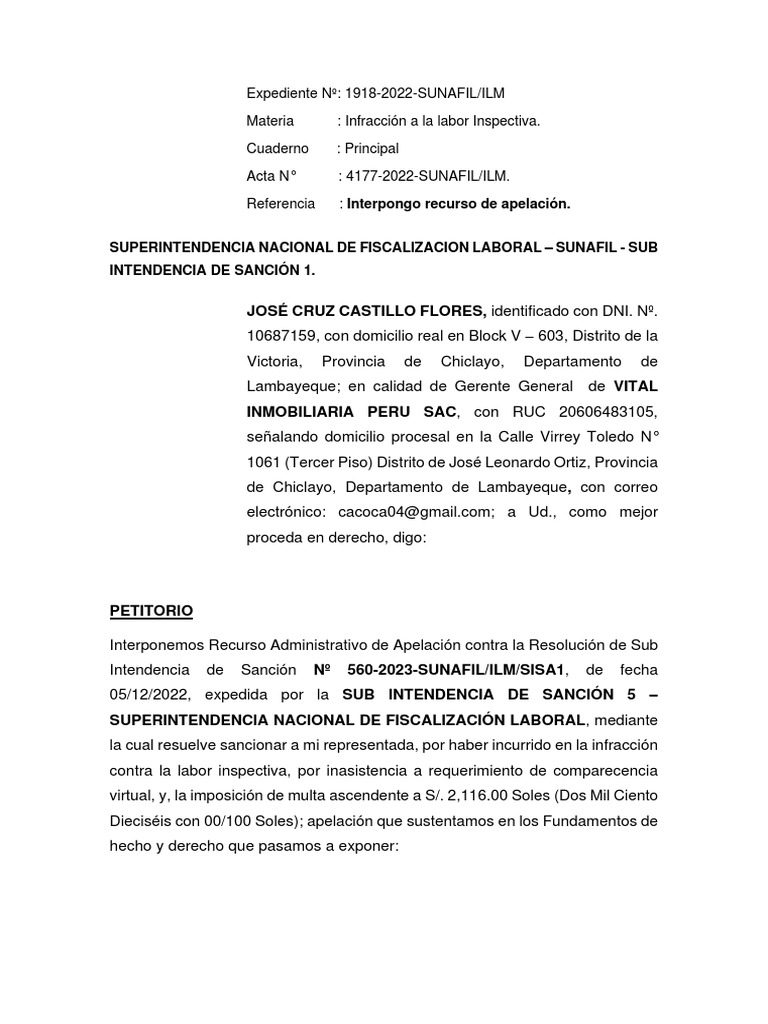 Apelacion Ante Sunafil | PDF | Justicia | Crimen y violencia