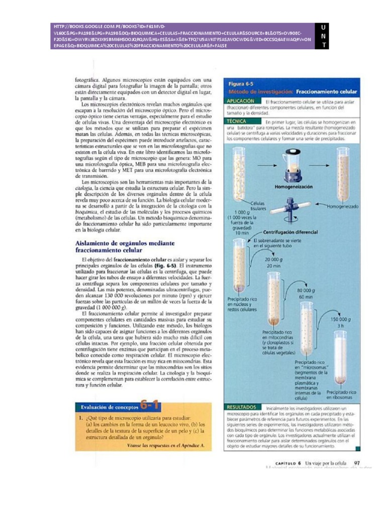 Fracc Subcelular | PDF