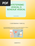 CISTOCLISIS | PDF | Vejiga urinaria | Orina