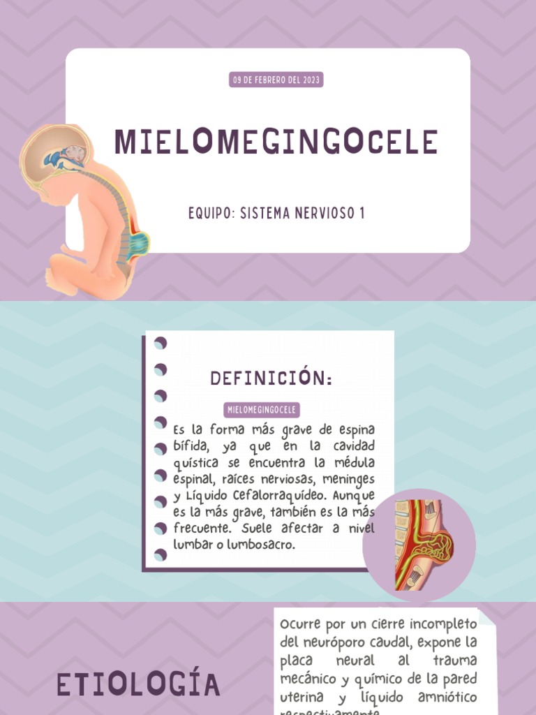 Mielomeningocele | PDF | Causas de la muerte | Neurociencia