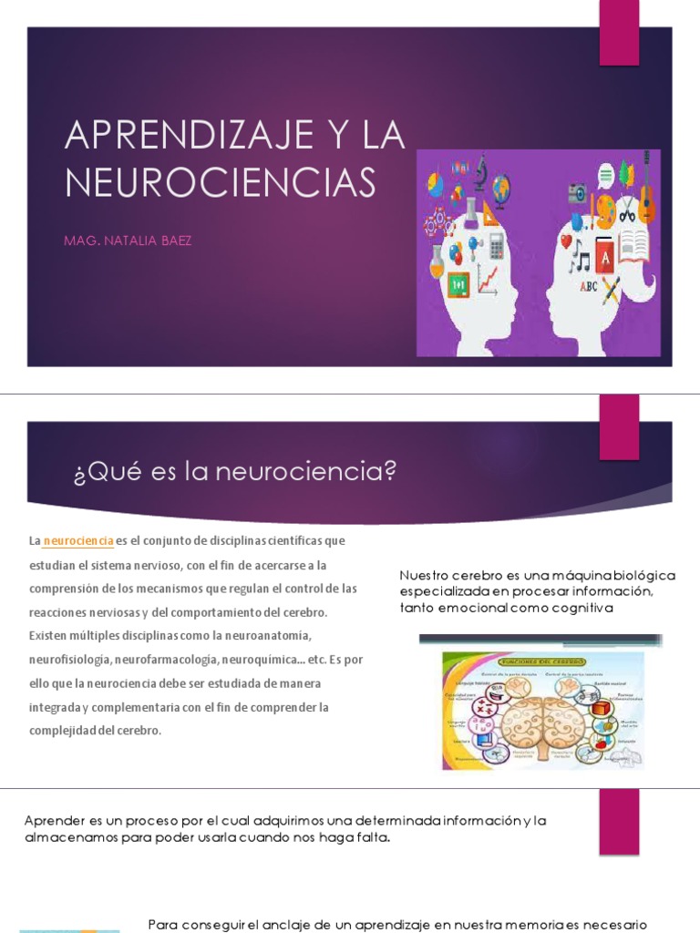 Aprendizaje y La Neurociencias PDF | PDF | Aprendizaje | Las emociones