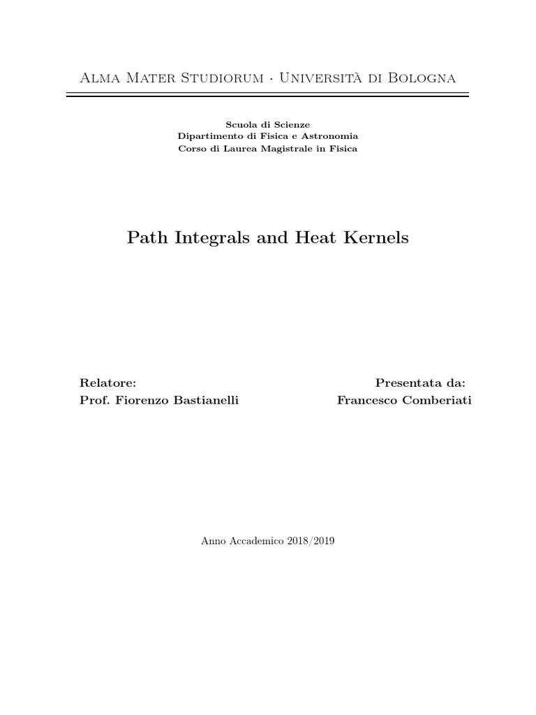 Path Integrals and Heat Kernels PDF | PDF | Gauge Theory | Quantum Field Theory