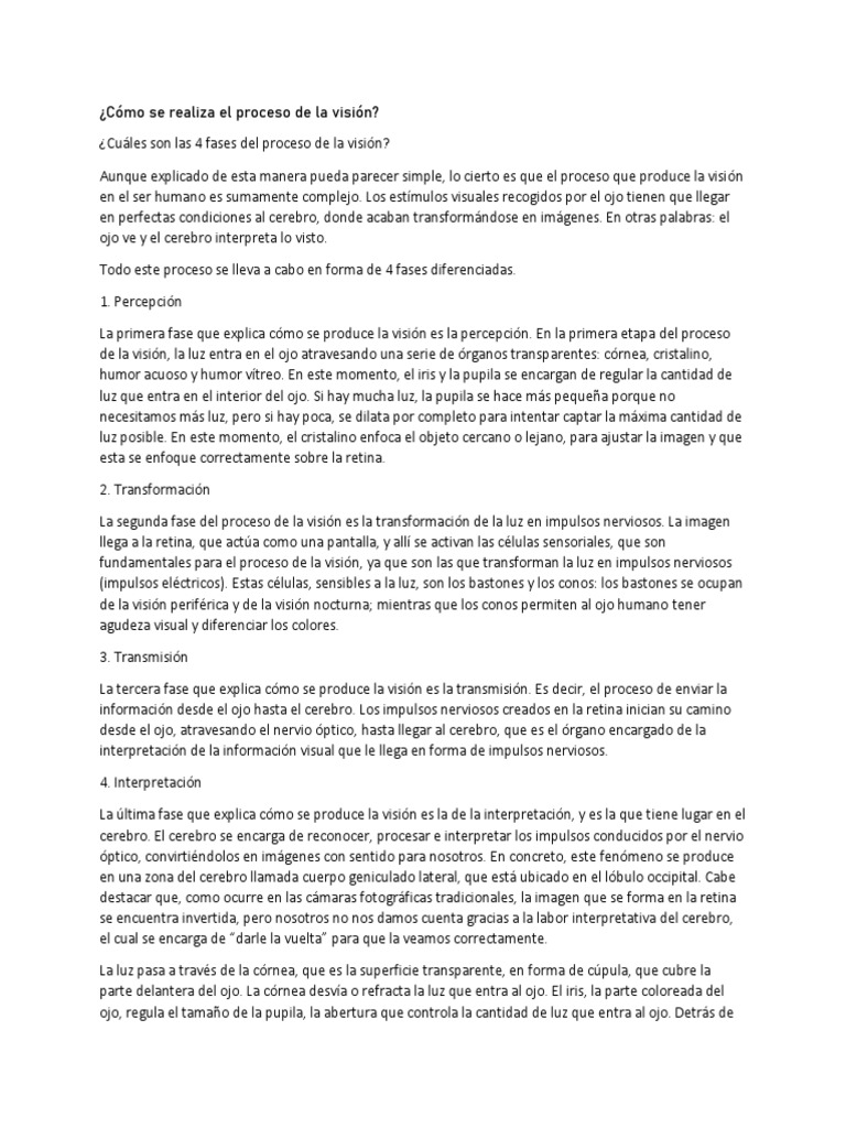 Cómo Se Realiza El Proceso de La Visión PDF | PDF | Percepción visual ...
