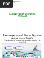 Reflejo de Flehmen en Animales | PDF | Biología