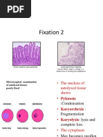 Manual Tissue Processing Guide | PDF | Fixation (Histology) | Microscopy