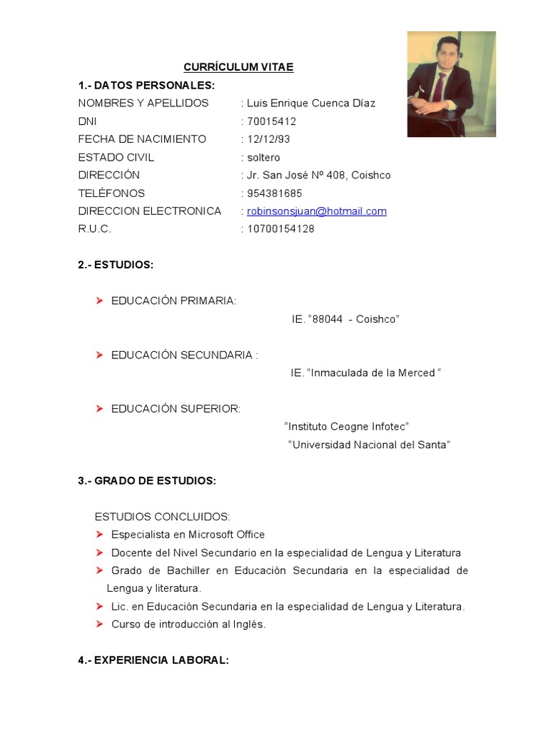 CURRÍCULUM VITAE Luis | PDF