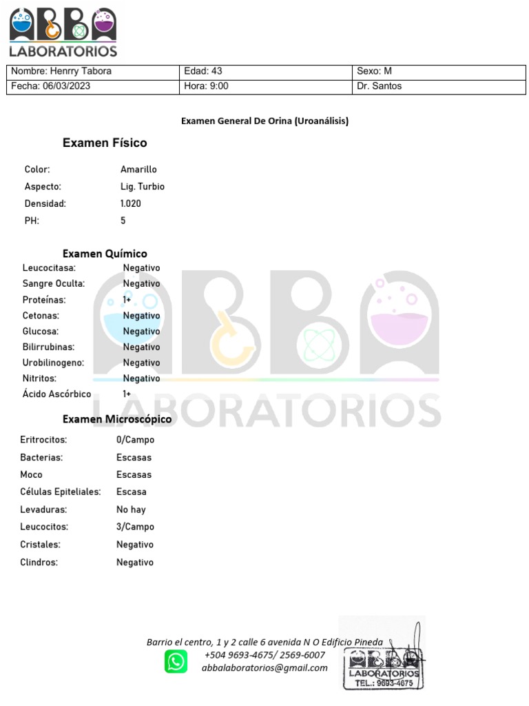 Plantilla de examen de orina HENRRY TABORA.pdf | PDF