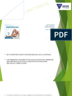 Posición de Roser o Proetz | PDF | Inflamación | Biología Celular)