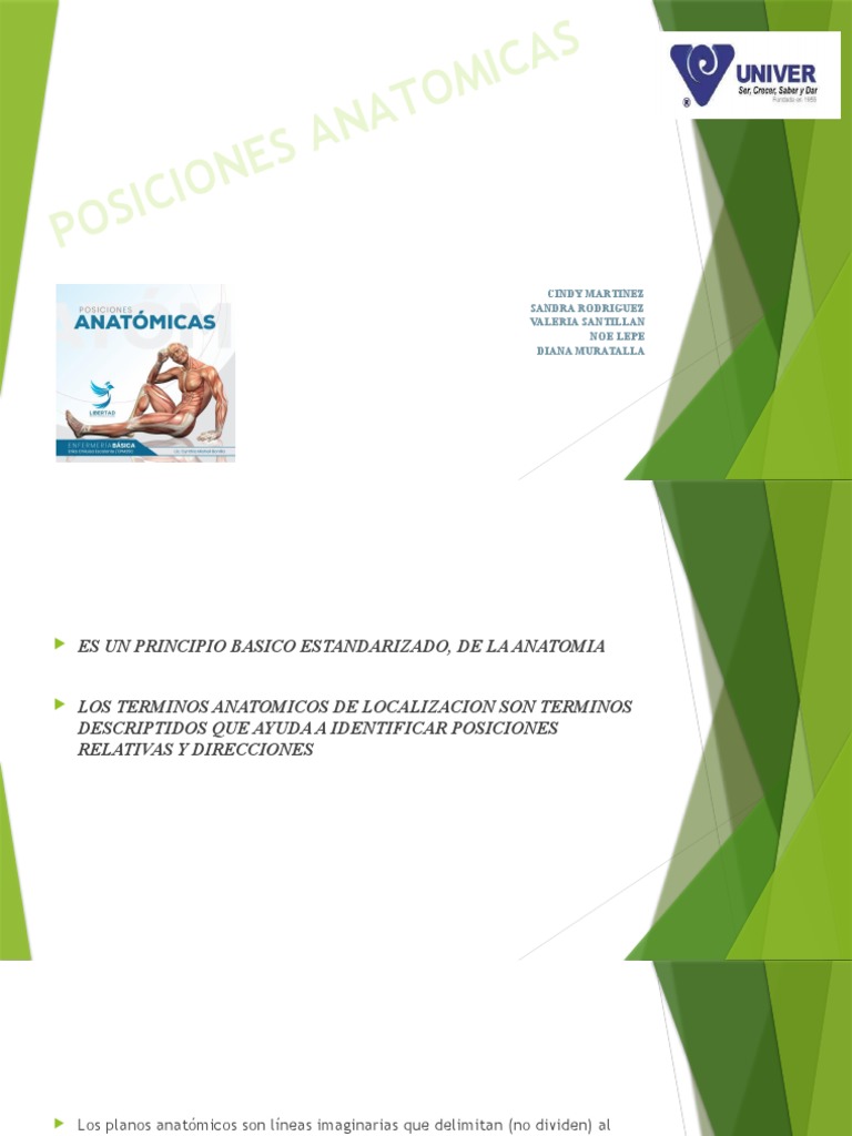 Posiciones Anatomicas | PDF | Términos anatómicos de ubicación | Anatomía