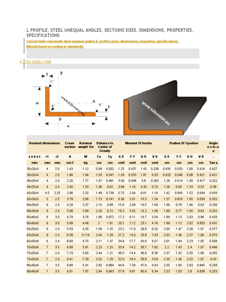 L Profile | PDF | Physics | Quantity