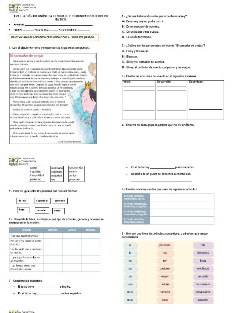 Evaluación Diagnóstica Lengua Tercero Básico | PDF | Lingüística