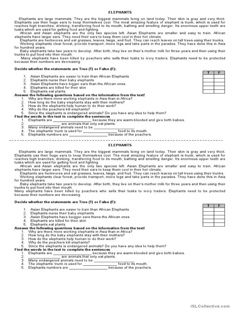 Elephant Comprehension Passage and Questions | PDF | Elephant | Zoology