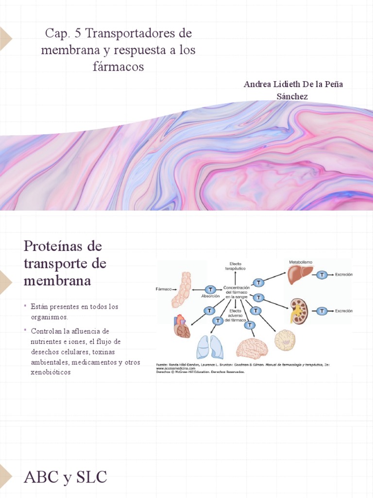 Cap.5 Transportadores de Membrana y Respuesta A Los Fármacos | PDF | Medicamentos con receta ...
