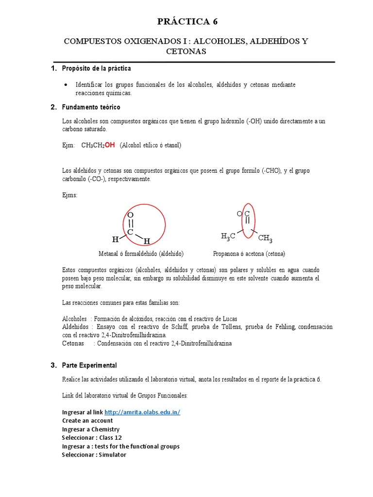 Práctica N°6 Compuestos Oxigenados 1 | PDF | Cetona | Reacciones químicas