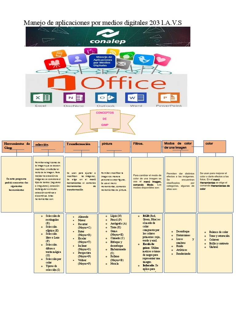 Manejo de Aplicaciones Por Medios Digitales | PDF
