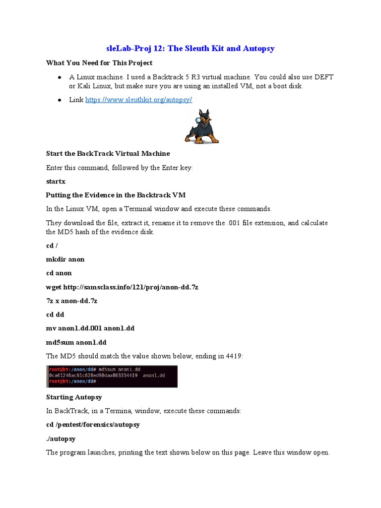 Lab-Proj.12 Sleuthkit | PDF | Button (Computing) | Computer File