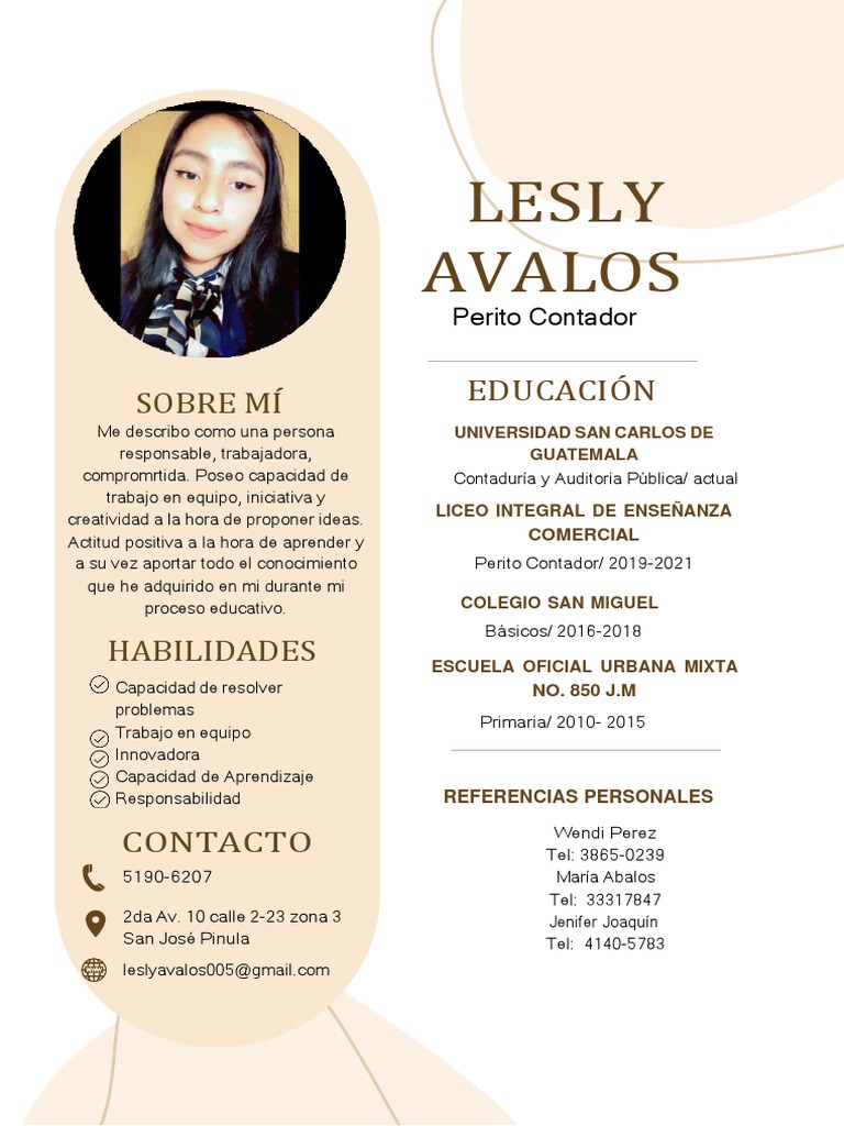Perfil Profesional de Lesly Avalos | PDF
