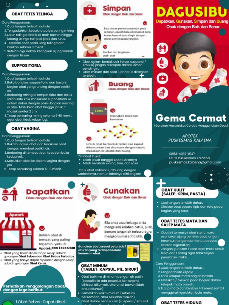 Leaflet Dagusibu PKM Kalaena PDF | PDF