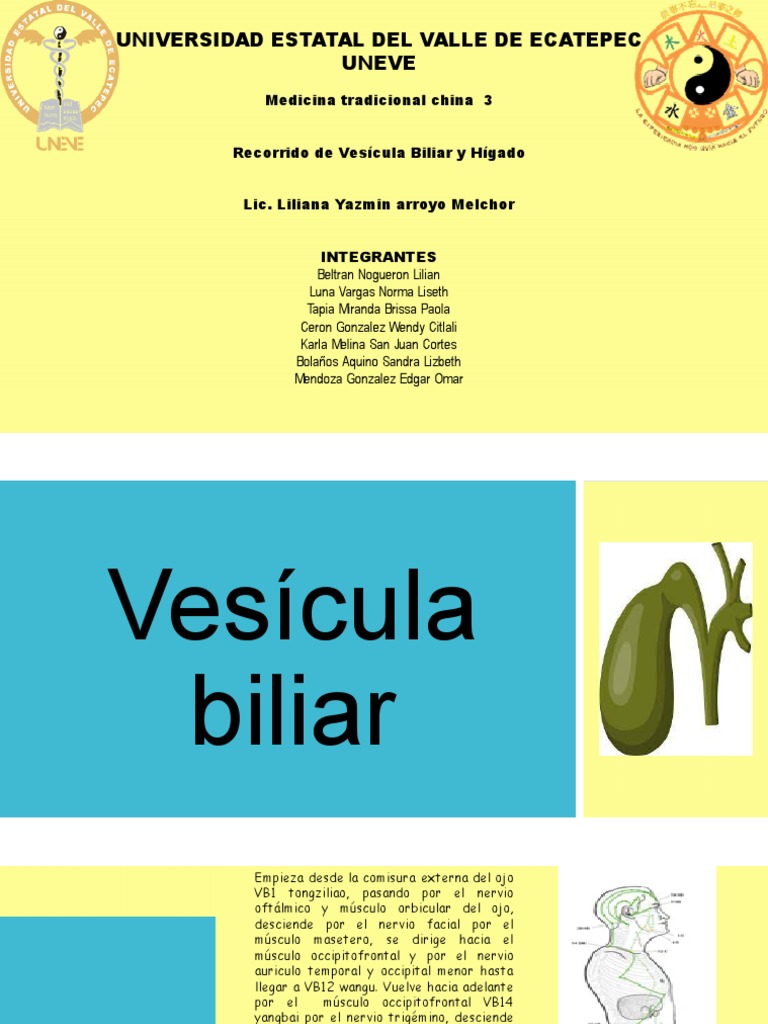 Canal de Vesicula Biliar MTC | PDF | Anatomía | Anatomía humana