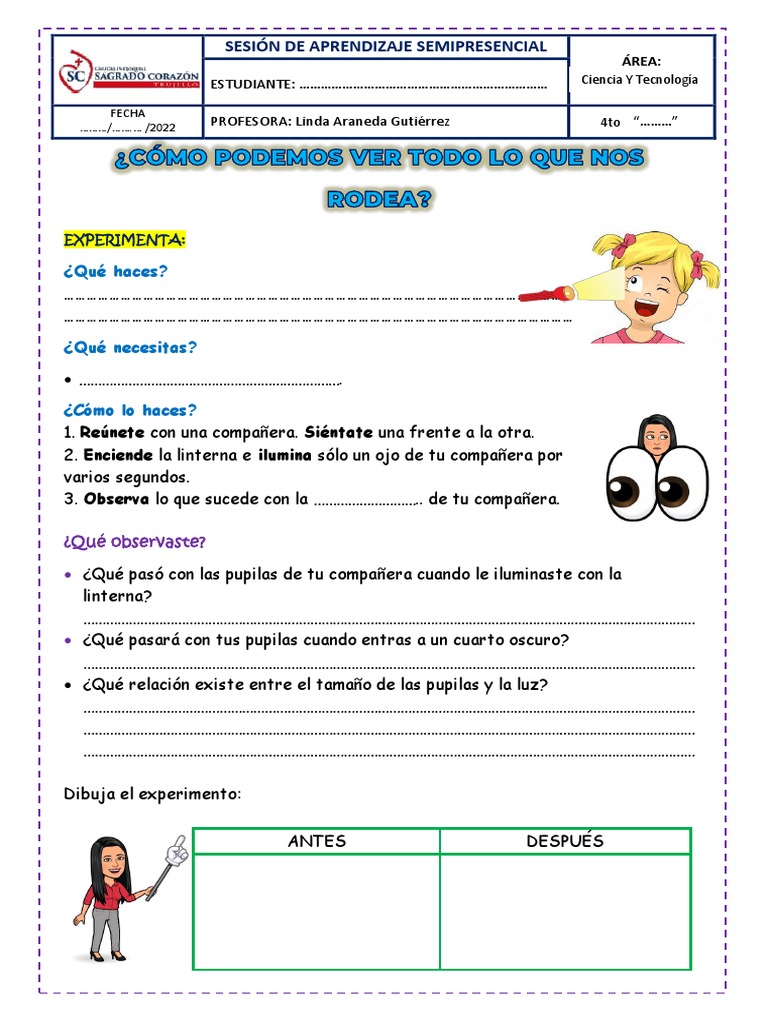 El Sentido de La Vista | PDF | Ojo humano | Percepción visual