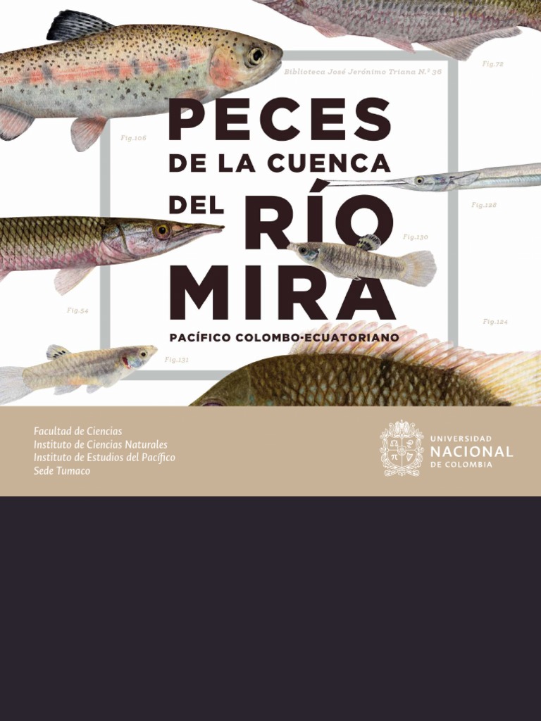 Peces de La Cuenca Del Rio PDF | PDF | Colombia | Ecuador