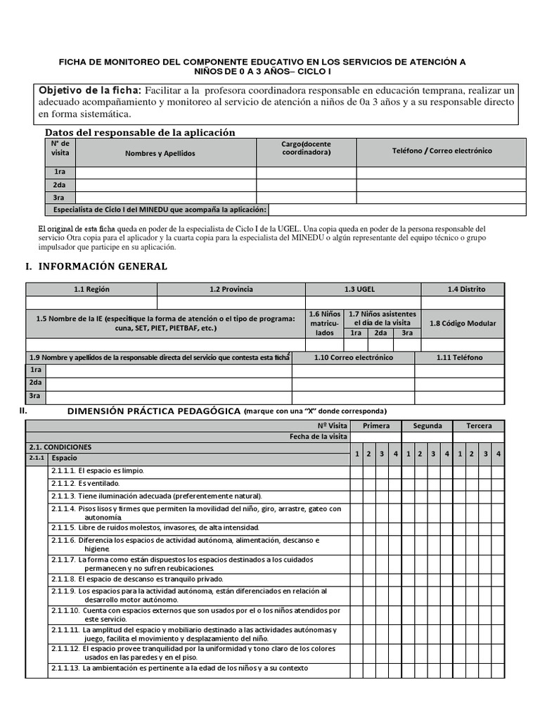 Ficha de Monitoreo Ciclo I | PDF