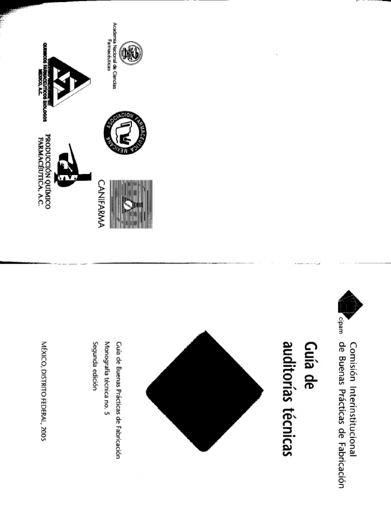 Cipam Auditorías Tecnicas Pdf Pdf