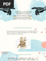 Articulación Radiocarpiana | PDF | Articulación | Extremidades (anatomía)