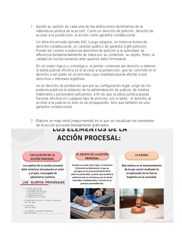 Naturaleza Jurídica de La Acción Procesal | PDF