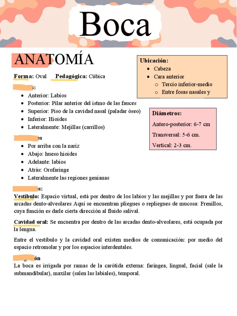 Anatomía de la Boca Animal | PDF | Anatomia animal | Anatomía