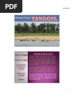 Pengertian dan Jenis Tanggul Sungai | PDF