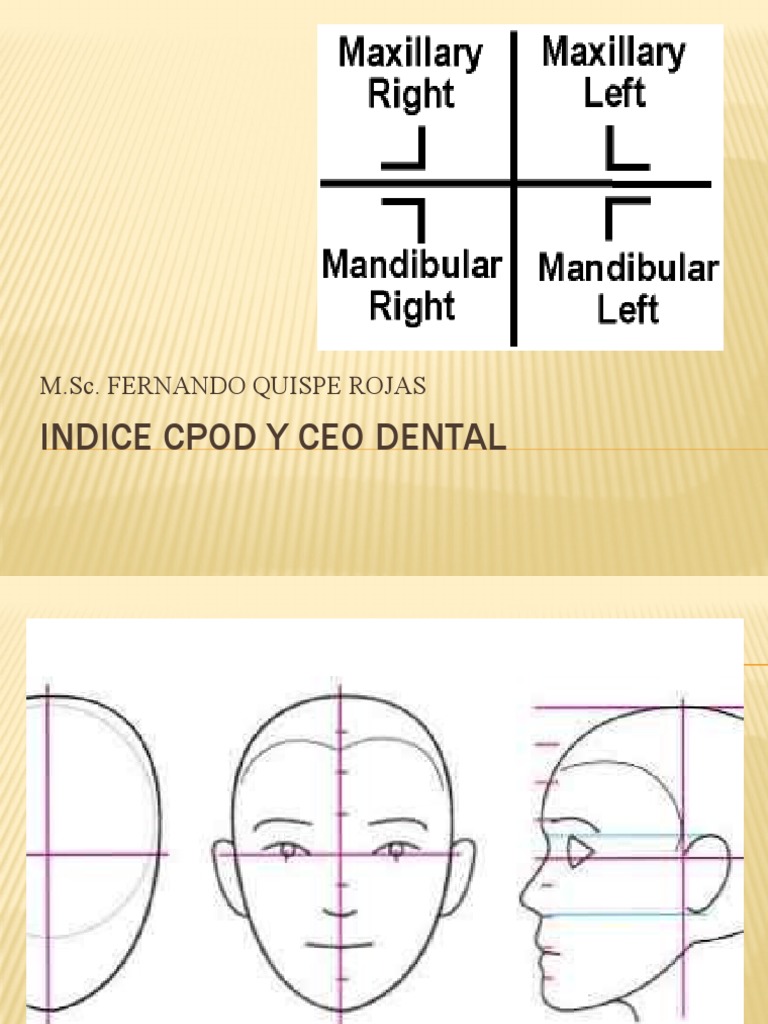 Índice CPOD y CEO Dental | PDF | Diente | Odontología