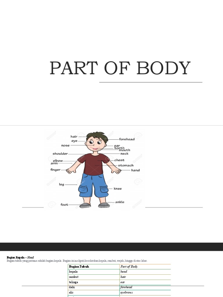 Part of Body | PDF