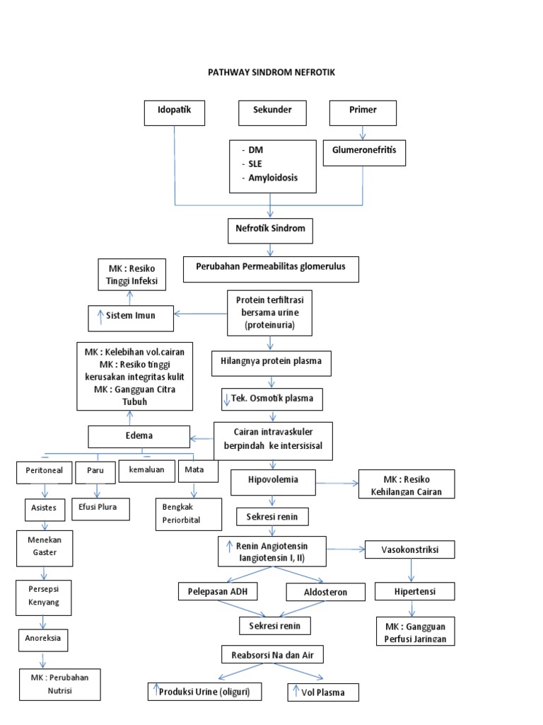 Sindrom Nefrotik: Penyebab & Dampak | PDF