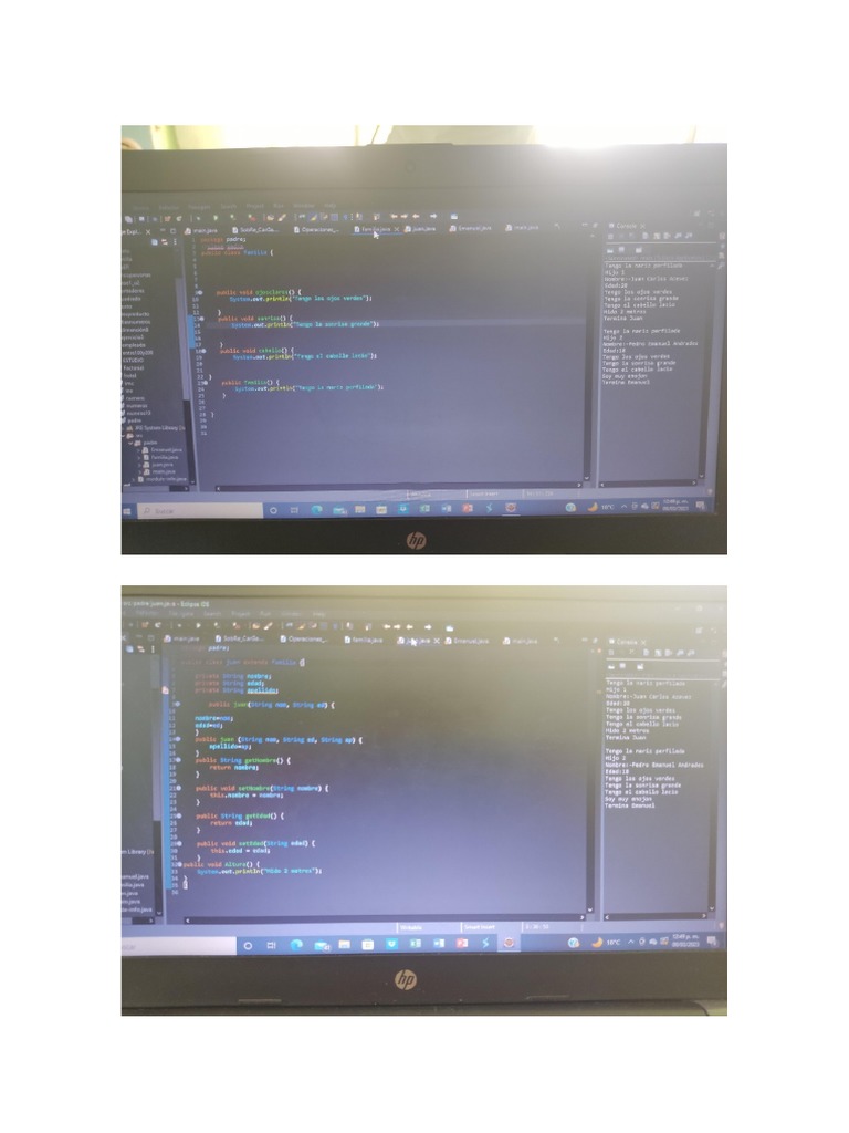 Ejercicio 2 - Herencia | PDF