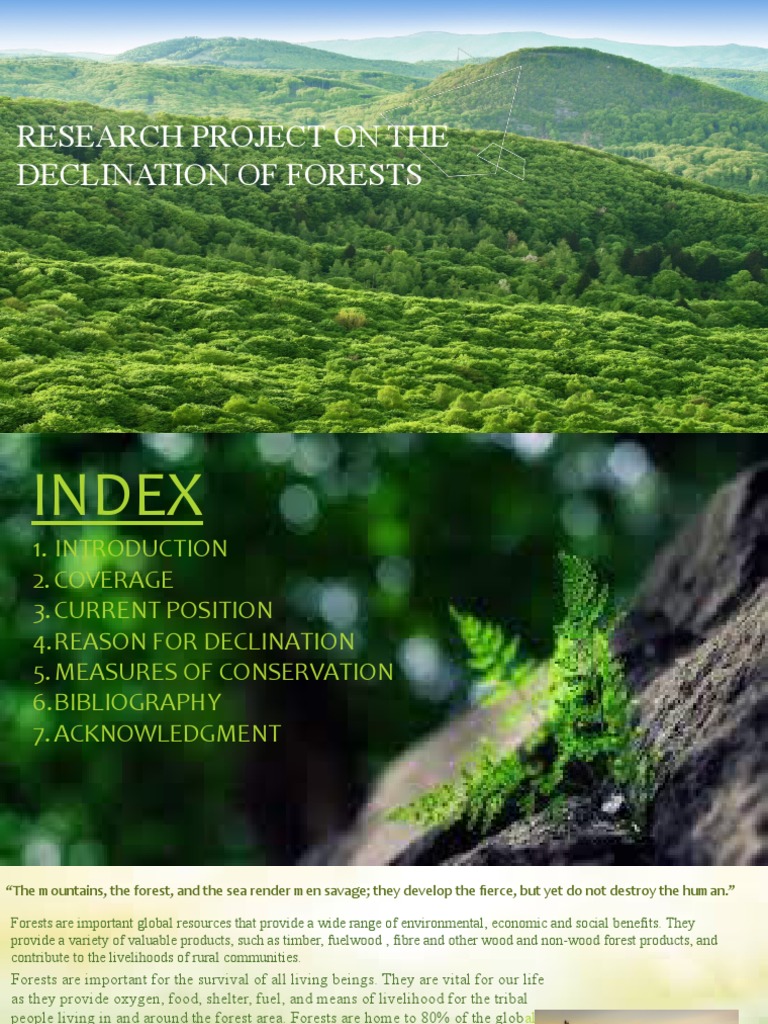 Forest Decline: Causes and Conservation | PDF | Forests | Tropics