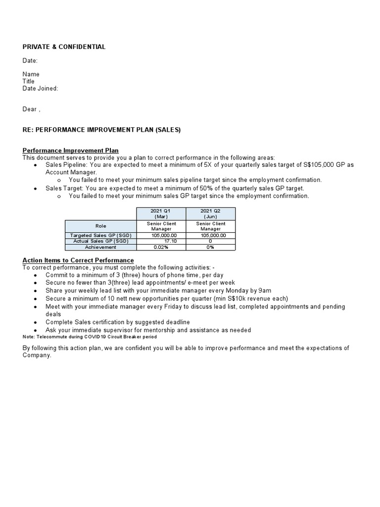Template - PIP | PDF | Business | Economies