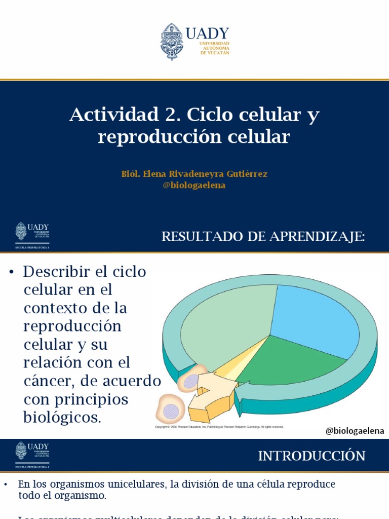 ADA 2 (Ciclo Celular) - PPT PDF | PDF | Mitosis | Mitosis