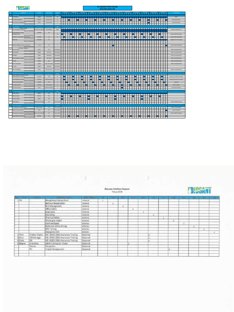 Hse Program Plan | PDF | Health Policy | Occupational Safety And Health