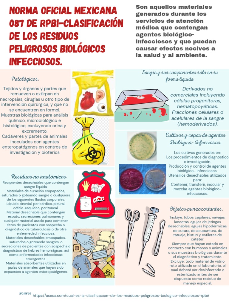 Cartel RPBI - Daniela Aguilar | PDF | Sangre | Infección