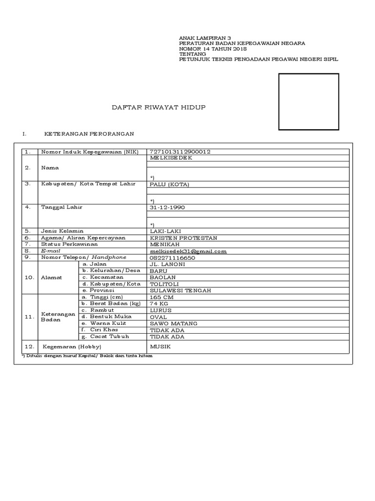 Daftar Riwayat Hidup PNS 2019 | PDF