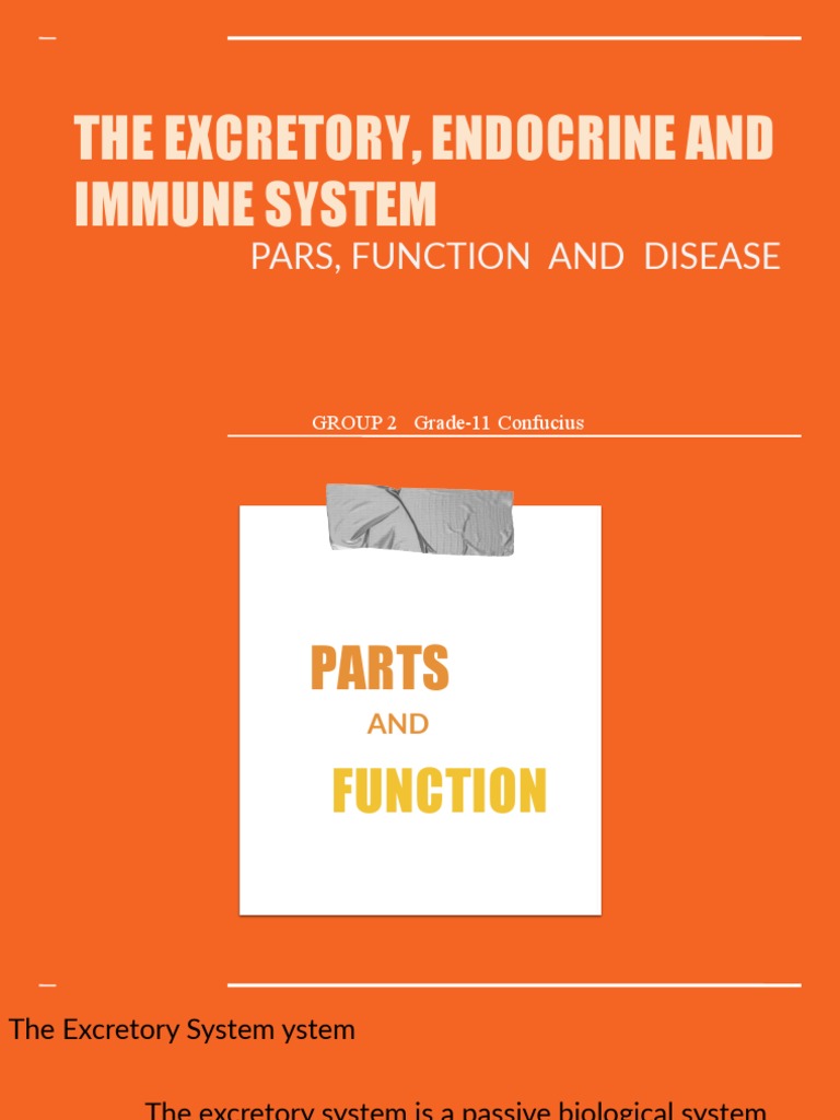 The Excretory, Endocrine and Immune System | PDF