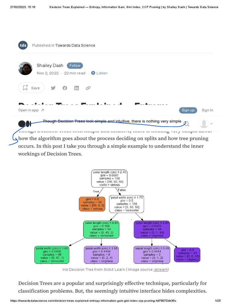 Decision Trees Explained - Entropy, Information Gain, Gini Index, CCP Pruning - by Shailey Dash ...