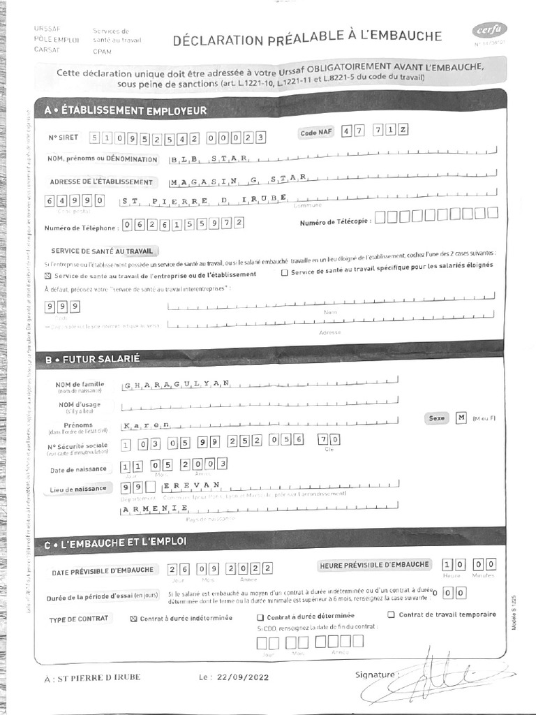 Déclaration Préalable À L'embauche | PDF