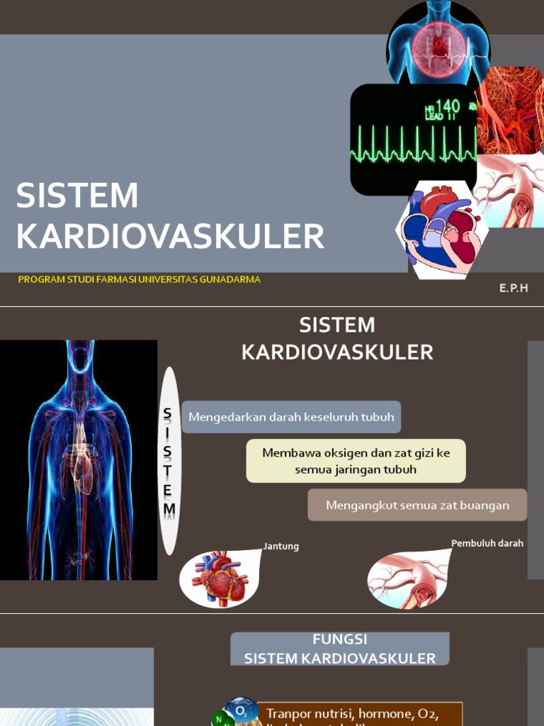 Sistem Kardiovaskular | PDF