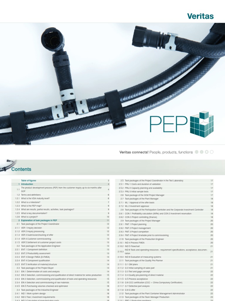 PEP Manual - V1 PDF | PDF | Project Management | Verification And ...
