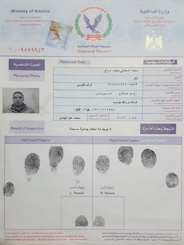 Mohamed Elsadany Criminal Record Certificate | PDF