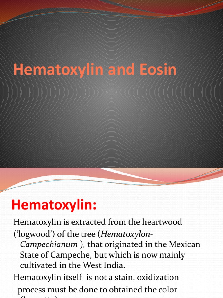Hematoxyline And Eosin Pdf