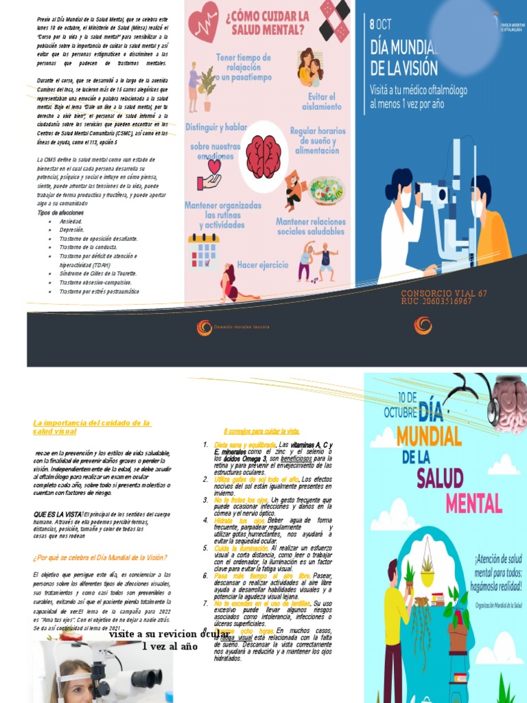 Triptico Vision y Mental | PDF | Ojo humano | Percepción visual