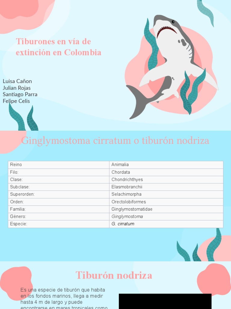 Taxonomia Tiburones Pdf Tiburones Depredadores